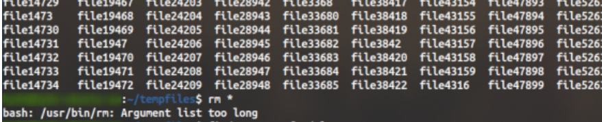 Argument List Too Long – Melih Melik SÖNMEZ